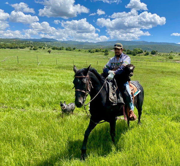 Herding - The Chama Valley Meat Co
